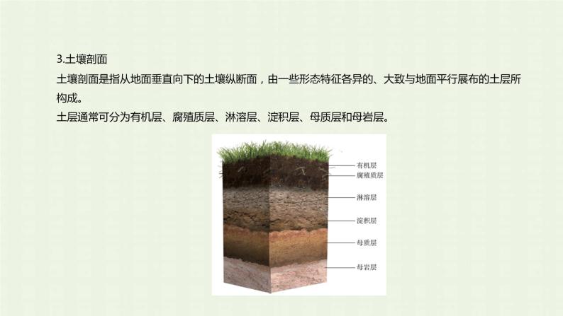 人教版 2019必修 第一册第二节 土壤背景图ppt课件 教习网课件下载