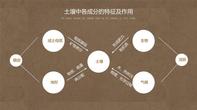 高中地理人教版 2019必修 第一册第二节 土壤一等奖教学ppt课件 教习网课件下载