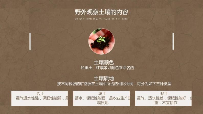高中地理人教版 2019必修 第一册第二节 土壤一等奖教学ppt课件 教习网课件下载