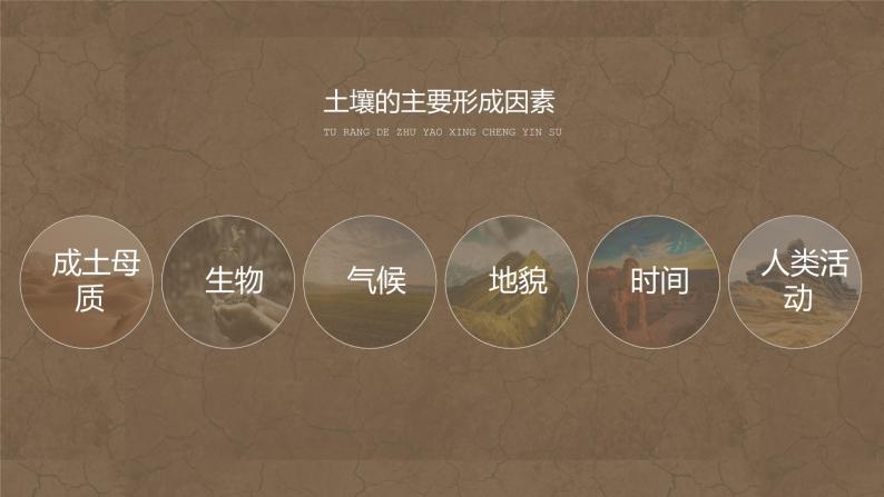 高中地理人教版 2019必修 第一册第二节 土壤一等奖教学ppt课件 教习网课件下载