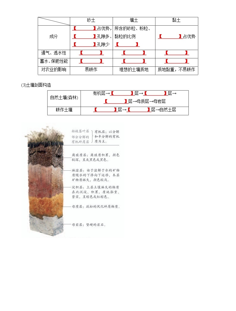 【必背知识清单】高中地理人教版2019必修第一册 第五章 植被与土壤 必背章节知识清单 教习网学案下载