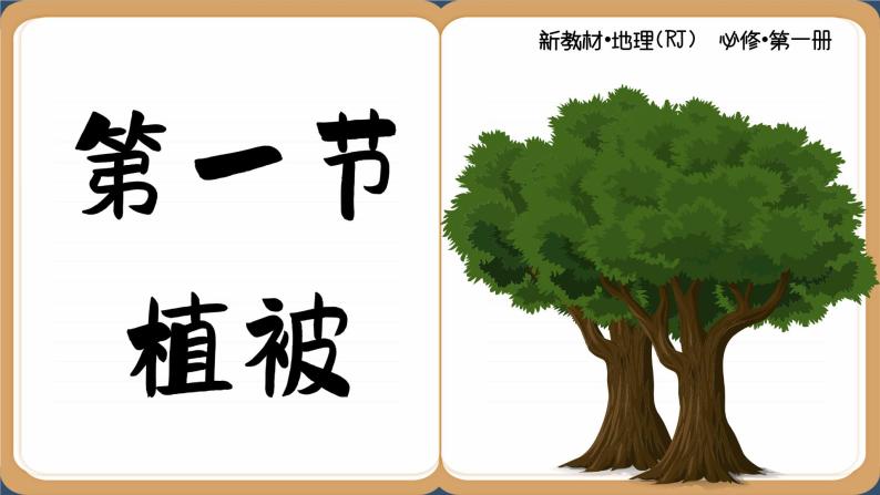 高中地理人教版 2019必修 第一册第一节 植被完美版ppt课件 教习网课件下载