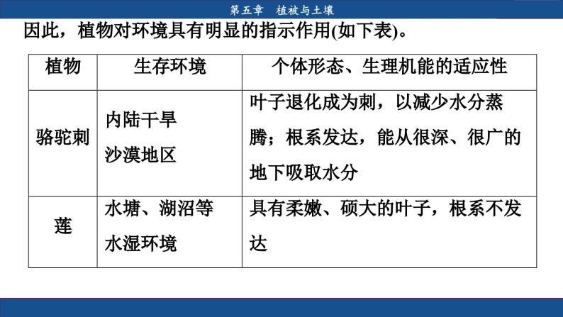 人教版地理必修一 第五章 植被与土壤（章末总结课件ppt） 教习网课件下载