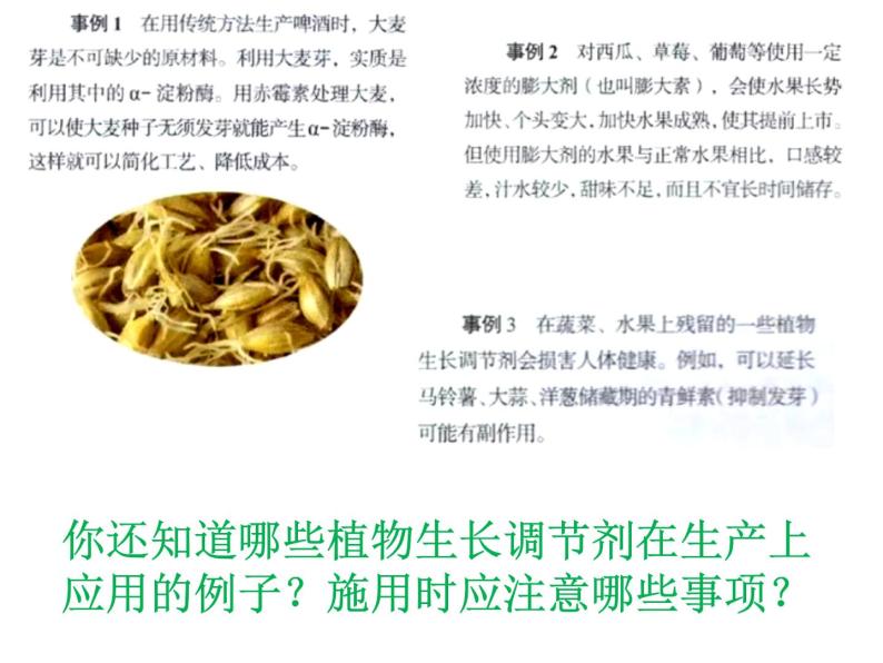 高中生物人教版 2019选择性必修1第3节 植物生长调节剂的应用教课ppt课件 教习网课件下载