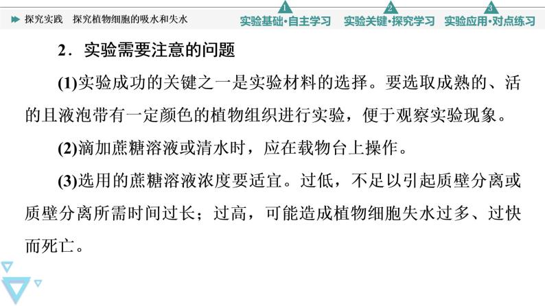 高中生物人教版 2019必修1《分子与细胞》第4章 细胞的物质输入和输出综合与测试示范课ppt课件 教习网课件下载