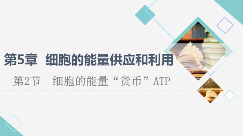 高中生物人教版 2019必修1《分子与细胞》第2节 细胞的能量 货币”atp课文配套课件ppt 教习网课件下载