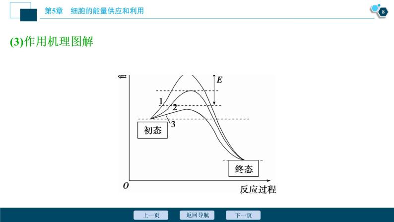 酶的作用和本质ppt课件免费下载 教习网课件下载
