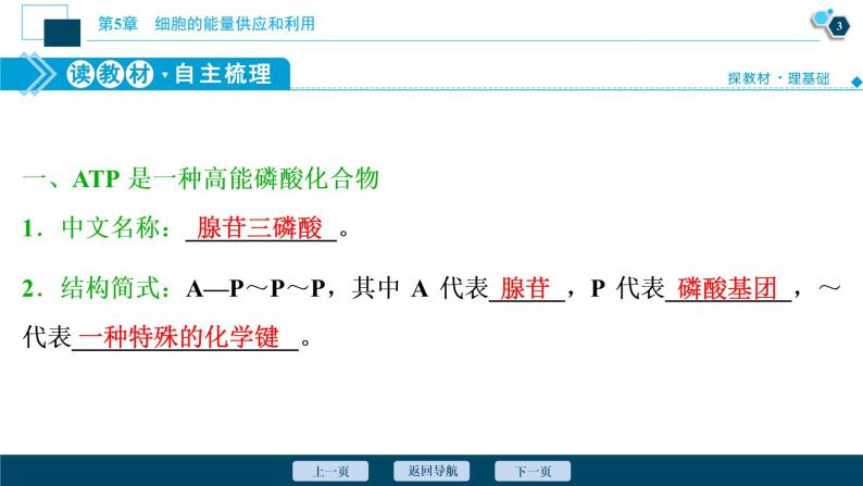 人教版 2019必修1《分子与细胞》第2节 细胞的能量 货币”atp课堂教学ppt课件 教习网课件下载