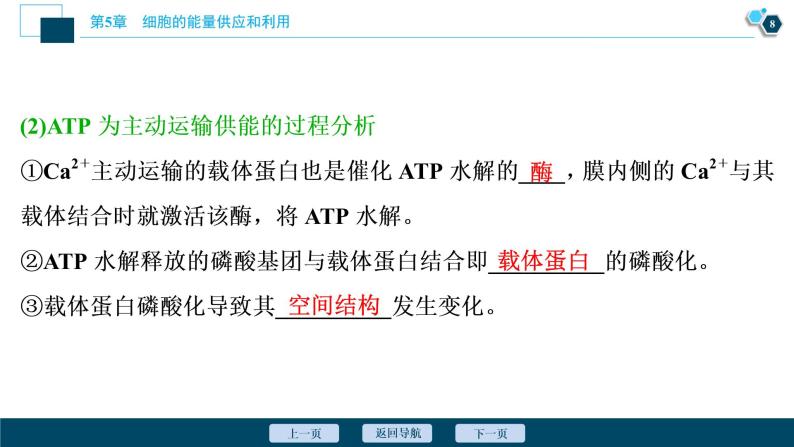 人教版 2019必修1《分子与细胞》第2节 细胞的能量 货币”atp课堂教学ppt课件 教习网课件下载