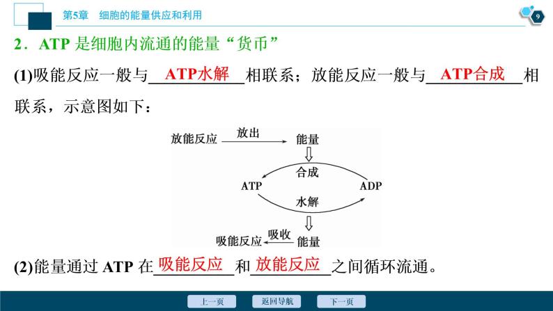 人教版 2019必修1《分子与细胞》第2节 细胞的能量 货币”atp课堂教学ppt课件 教习网课件下载