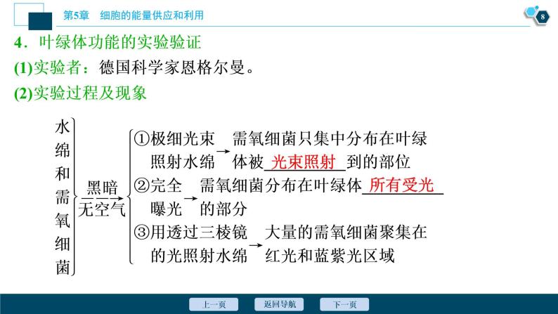 生物必修1《分子与细胞》一 捕获光能的色素和结构评课ppt课件 教习网课件下载