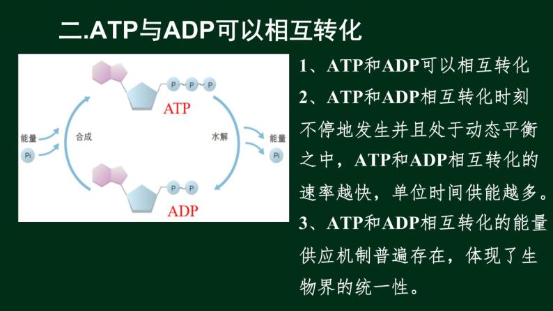 高中生物人教版 2019必修1《分子与细胞》第2节 细胞的能量 货币”atp完整版习题ppt课件 教习网课件下载