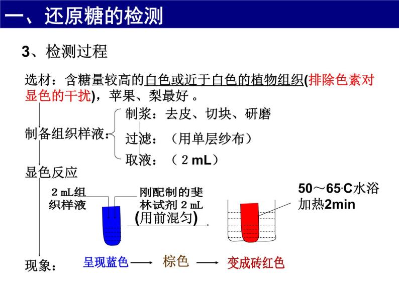 2022届高中生物一轮复习生物课件：13检测生物组织中的糖类、脂肪和蛋白质共17张ppt 教习网课件下载