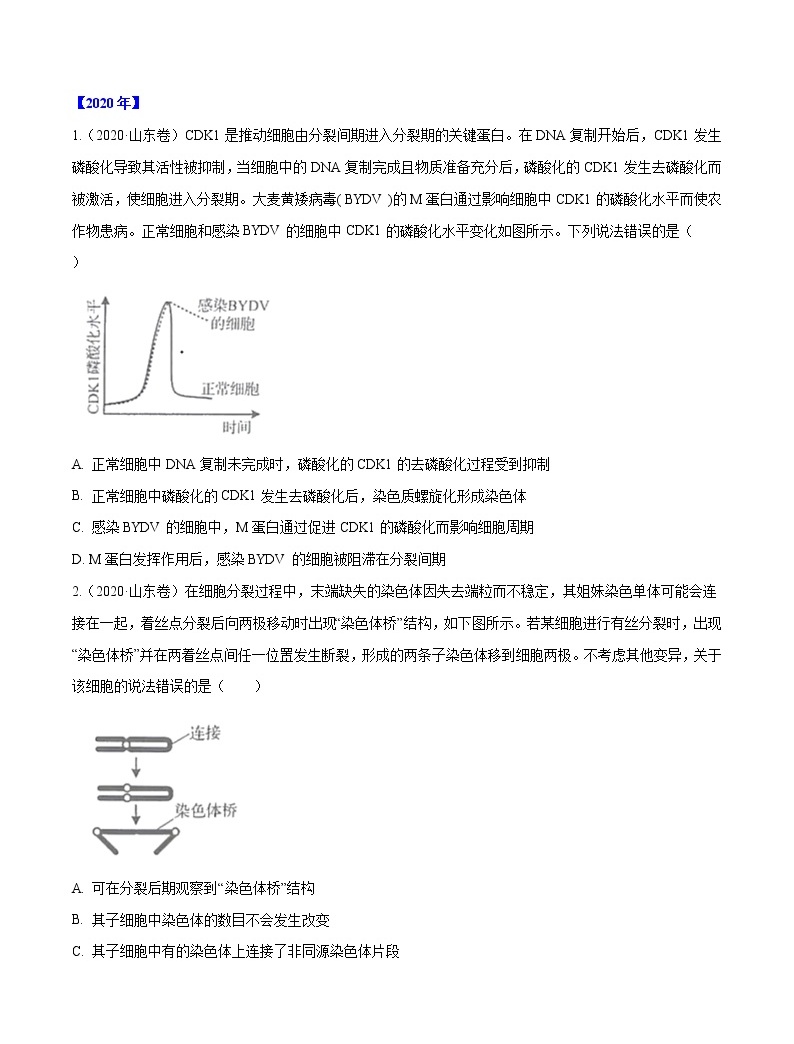 专题03 细胞的生命历程 五年（2017 2021）高考生物真题分项详解（全国通用）（原卷版） 教习网试卷下载