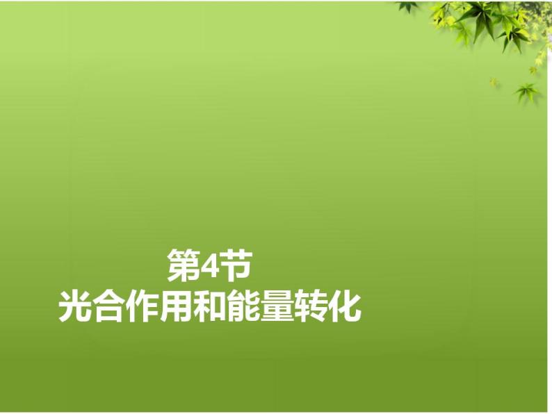 高中生物人教版 2019必修1《分子与细胞》一 捕获光能的色素和结构教课ppt课件 教习网课件下载