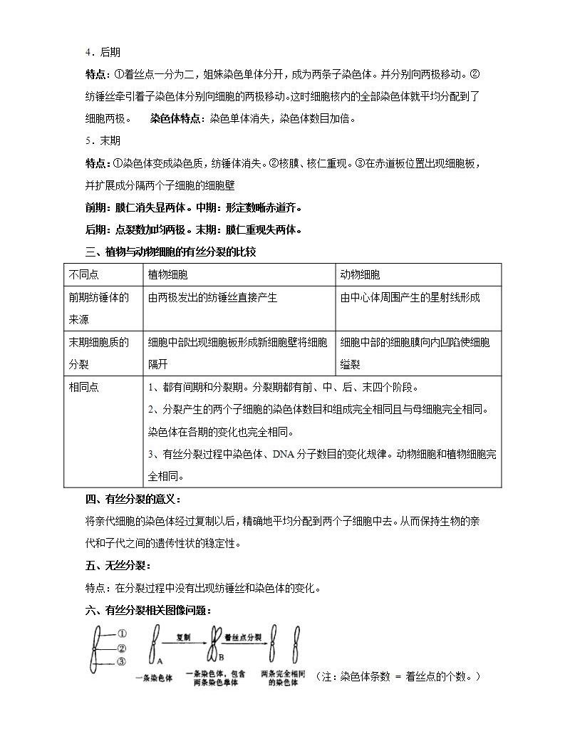 【新教材】2022届高考生物一轮复习讲义:第四单元 细胞的生命历程 第11讲 细胞的增殖 教案 教习网教案下载