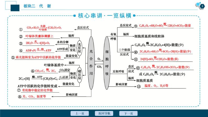 专题05 细胞呼吸与光合作用 2021年高考生物二轮模块复习课件（共124张ppt） 教习网课件下载