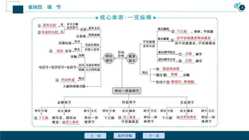 专题09 神经—体液调节 2021年高考生物二轮模块复习课件（共108张ppt） 教习网课件下载