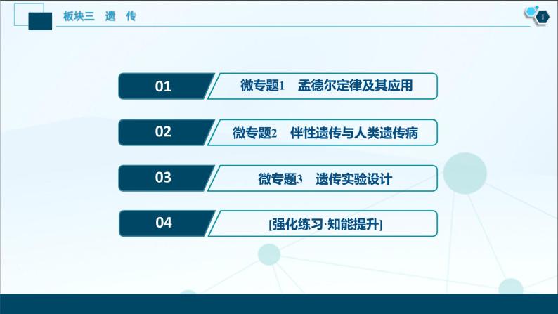 专题07 遗传的基本规律和人类遗传病 2021年高考生物二轮模块复习课件（共158张ppt） 教习网课件下载