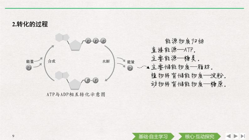 高中生物人教版 2019必修1《分子与细胞》第2节 细胞的能量 货币”atp图文ppt课件 教习网课件下载