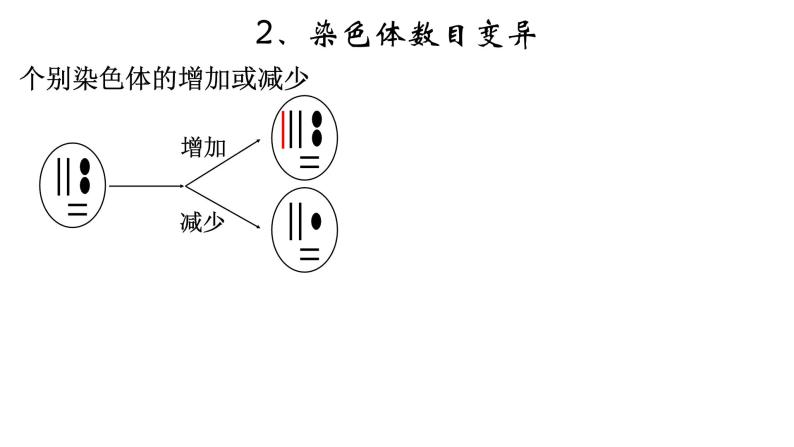 人教版 新课标必修2《遗传与进化》第五章 基因突变及其他变异第2节 染色体变异评课ppt课件 教习网课件下载