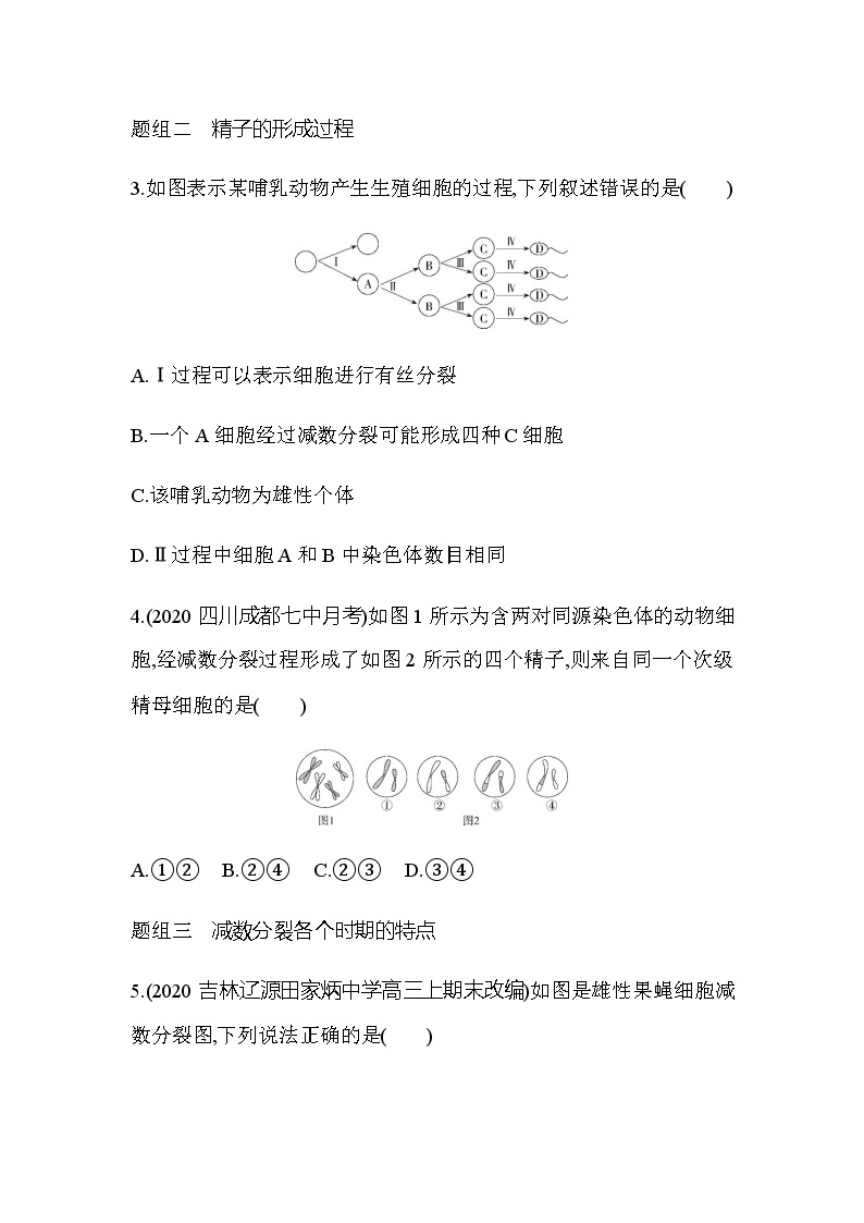 高中生物人教版 新课标必修2《遗传与进化》第二章 基因和染色体的关系第1节 减数分裂和受精作用一 减数分裂第1课时测试题 教习网试卷下载