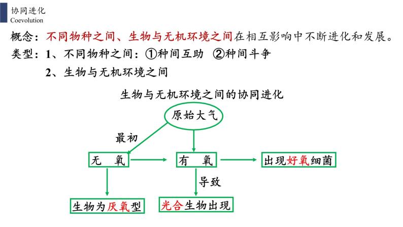 高中生物第4节 协同进化与生物多样性的形成教案配套ppt课件 教习网课件下载