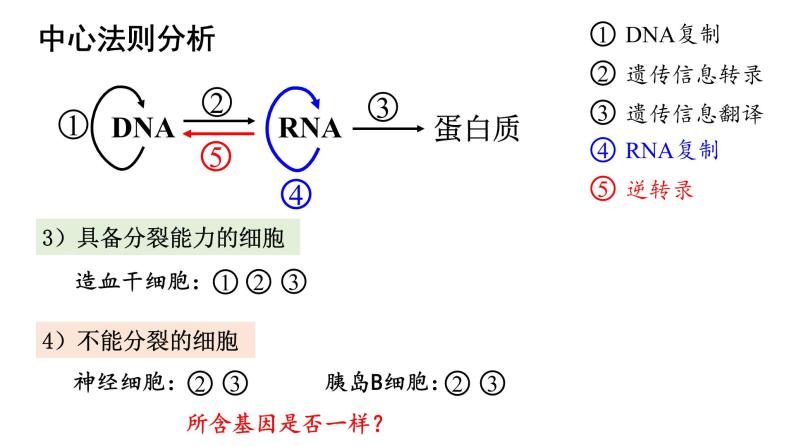 2020 2021学年第2节 基因对性状的控制课文ppt课件 教习网课件下载