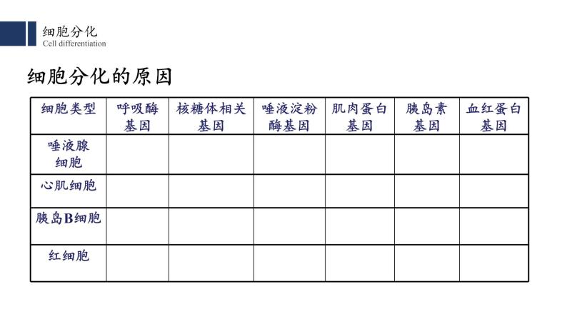 细胞的能量 货币”atpppt课件免费下载 教习网课件下载