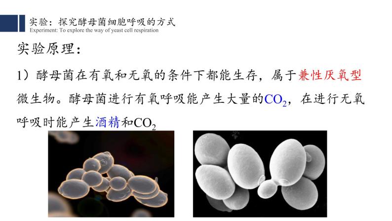 生物必修1《分子与细胞》第3节 细胞呼吸的原理和应用教课ppt课件 教习网课件下载