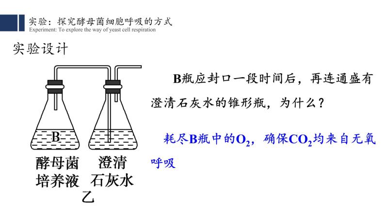 生物必修1《分子与细胞》第3节 细胞呼吸的原理和应用教课ppt课件 教习网课件下载