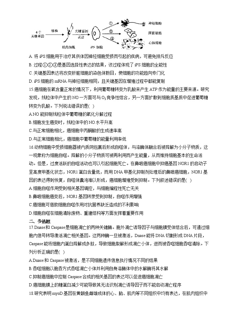 新课标新高考2022届高考生物二轮复习专题练（三）：细胞的生命历程（江苏地区使用） 教习网试卷下载