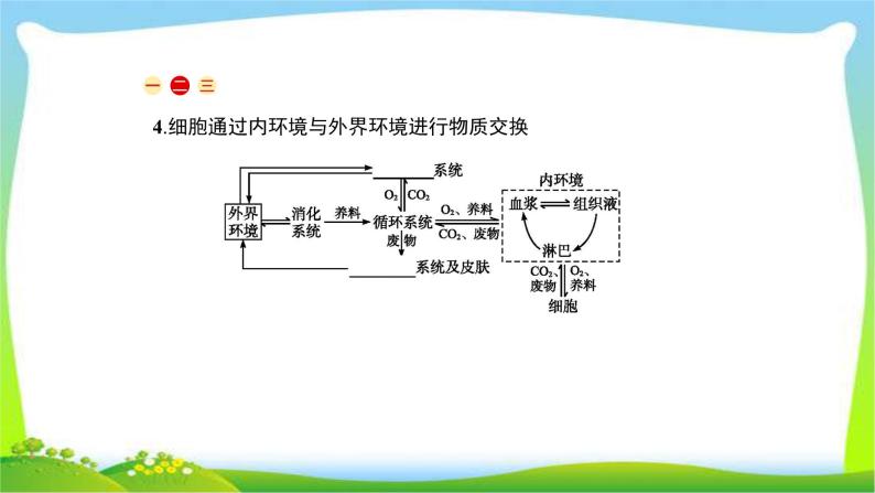 人教版高考生物总复习91人体的内环境与稳态完美课件ppt 教习网课件下载