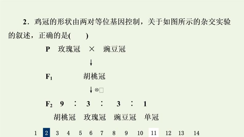 高考生物一轮复习课后集训16孟德尔的豌豆杂交实验二课件 教习网课件下载