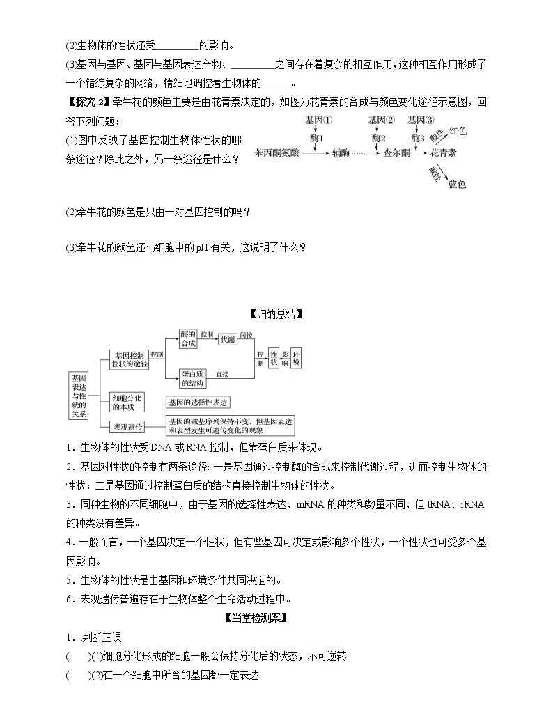 高中生物人教版 2019必修2《遗传与进化》第4章 基因的表达第2节 基因表达与性状的关系学案设计 教习网学案下载