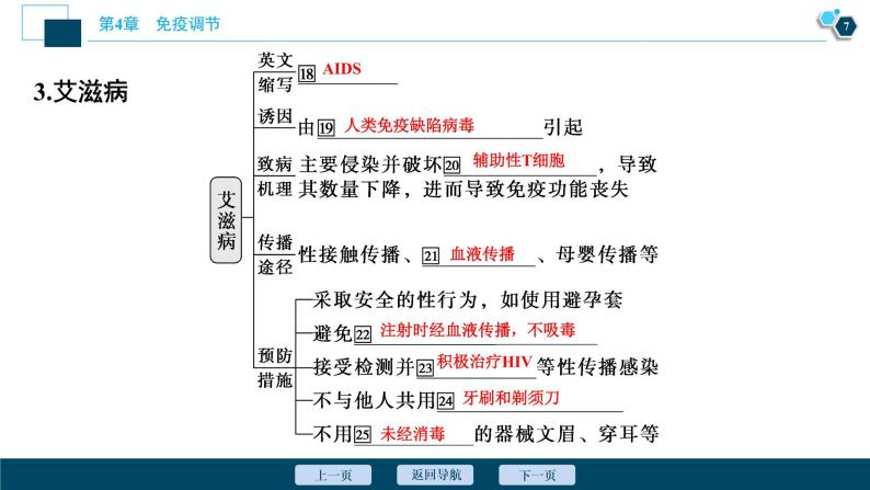 生物选择性必修1第3节 免疫失调图文课件ppt 教习网课件下载