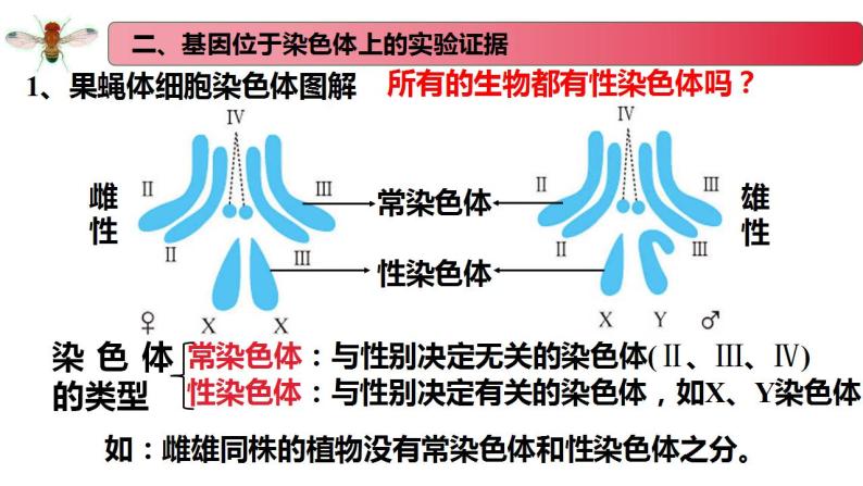 14 基因位于染色体上 2020 2021学年高一生物同步备课系列（新苏教版（2020）必修2）课件ppt 教习网课件下载