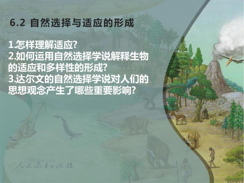 高中生物人教版 2019必修2《遗传与进化》第2节 自然选择与适应的形成图片课件ppt 教习网课件下载