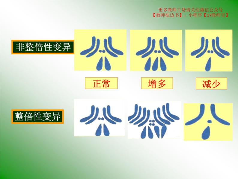 人教版 2019必修2《遗传与进化》第2节 染色体变异集体备课课件ppt 教习网课件下载