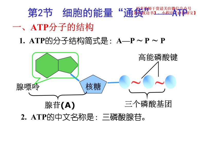 人教版 2019必修1《分子与细胞》第2节 细胞的能量 货币”atp授课课件ppt 教习网课件下载