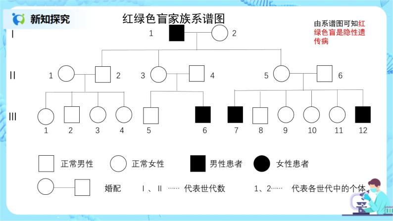 人教版 2019必修2《遗传与进化》第3节 伴性遗传完美版ppt课件 教习网课件下载