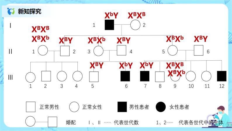 人教版 2019必修2《遗传与进化》第3节 伴性遗传完美版ppt课件 教习网课件下载