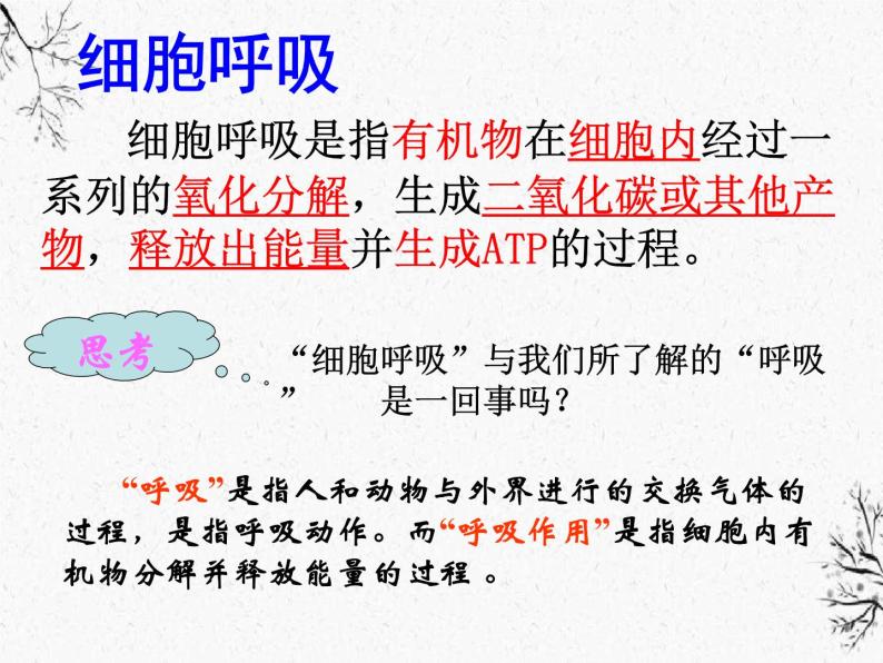 人教版 2019必修1《分子与细胞》第3节 细胞呼吸的原理和应用课文配套ppt课件 教习网课件下载