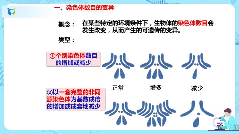 人教版 2019必修2《遗传与进化》第2节 染色体变异图片课件ppt 教习网课件下载