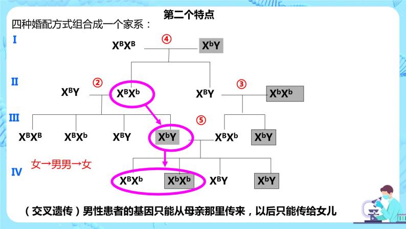 生物第3节 伴性遗传授课ppt课件 教习网课件下载
