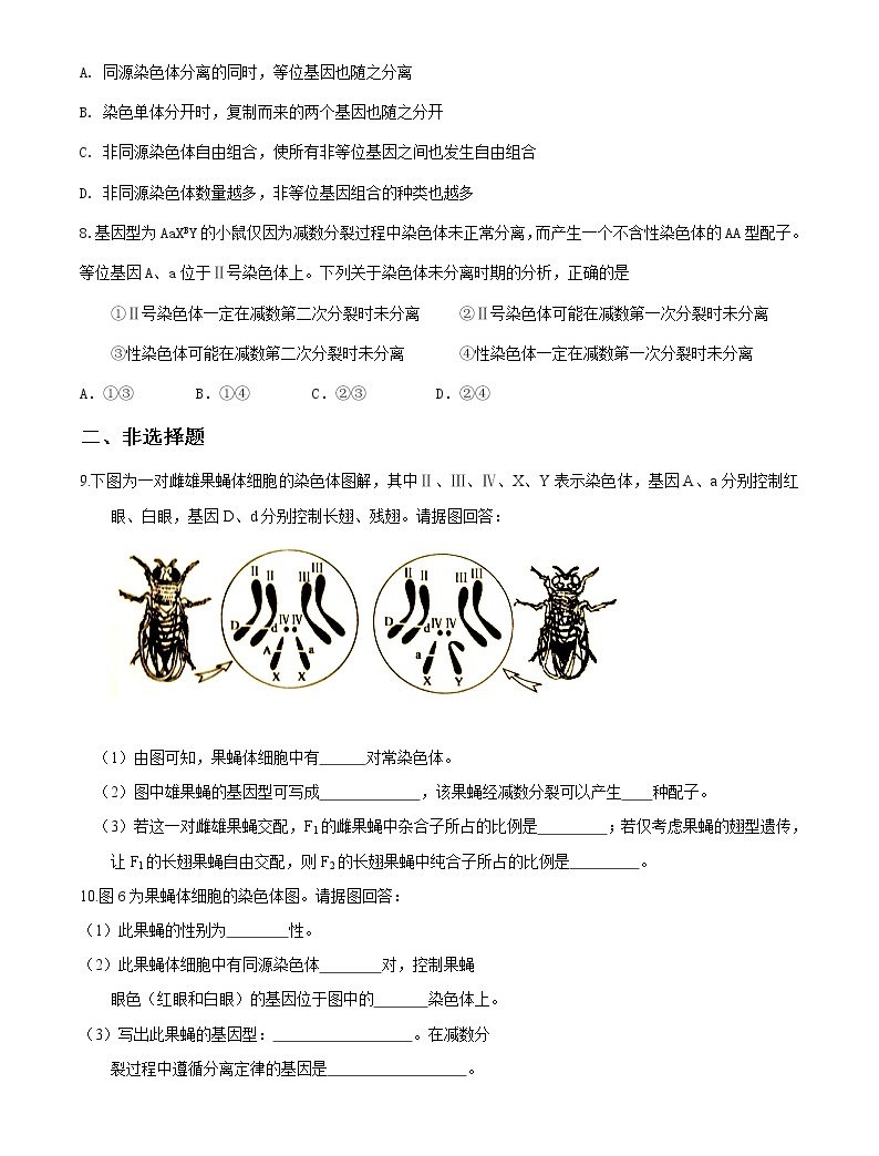 人教版 2019必修2《遗传与进化》第2节 基因在染色体上背景图课件ppt 教习网课件下载