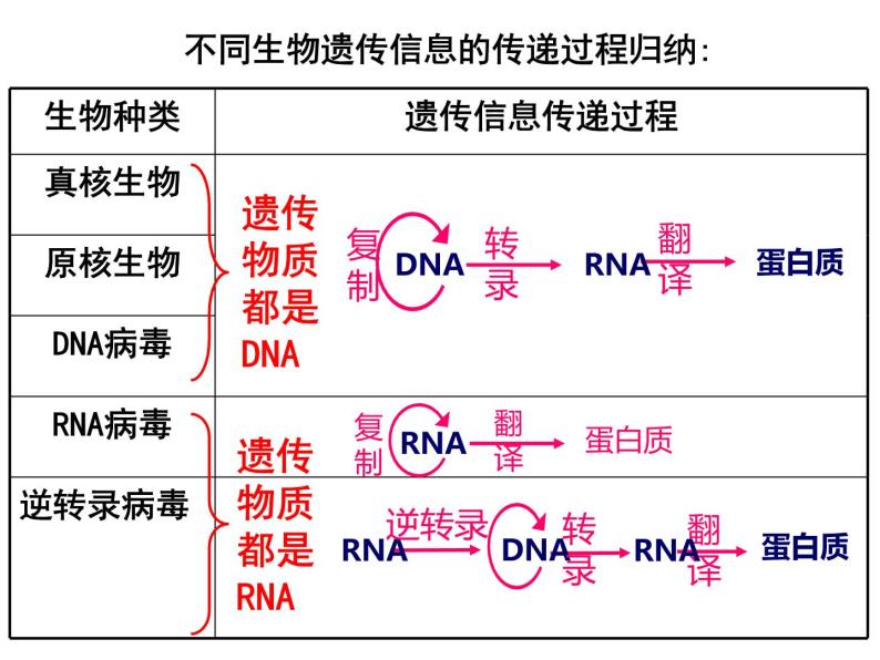 2020 2021学年第4章 基因的表达第2节 基因表达与性状的关系图片课件ppt 教习网课件下载