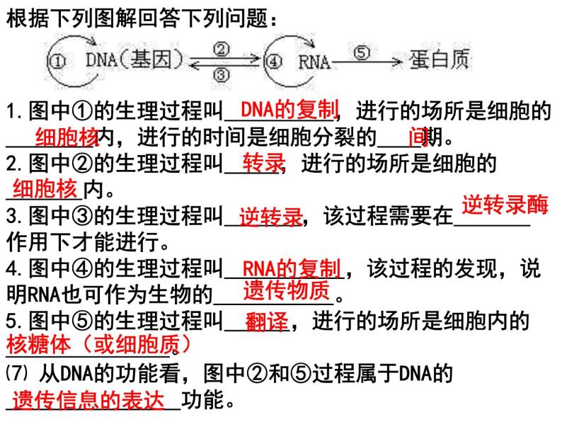 2020 2021学年第4章 基因的表达第2节 基因表达与性状的关系图片课件ppt 教习网课件下载