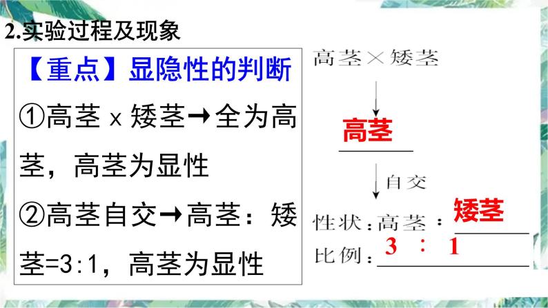 基因的分离定律一轮复习 优质课件 教习网课件下载