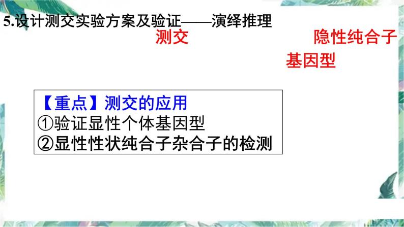 基因的分离定律一轮复习 优质课件 教习网课件下载